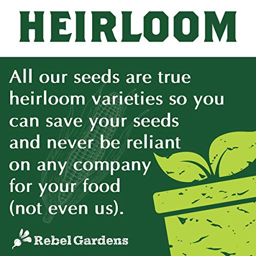 Organic Garden Greens Vegetable Seeds - 8 Varieties of Heirloom, Non-GMO Salad Green Seeds - Lettuce, Arugula, Swiss Chard, Kale, and Spinach