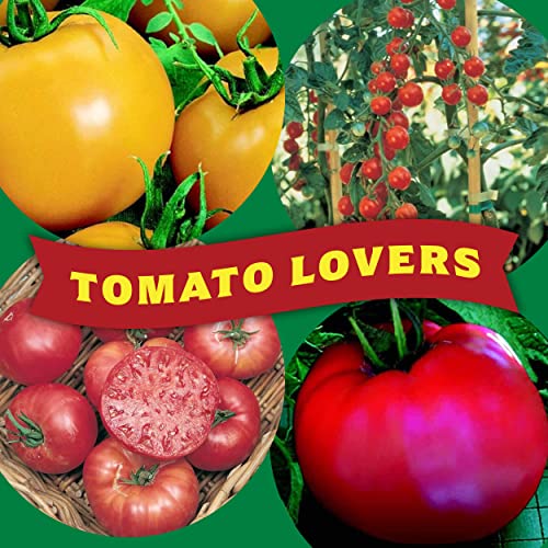 Seeds N Such 150 Hand Selected Tomato Garden Seeds | 5 Individually Packaged Seeds Goliath Original, Goliath Sunny, Sweet Million Hybrid, Mortgage Lifter & Containers Choice Red | Untreated & Non-GMO