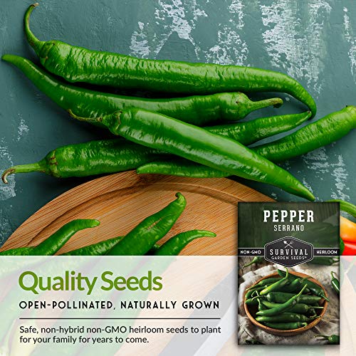 Survival Garden Seeds - Serrano Pepper Seed for Planting - Packet with Instructions to Plant and Grow Spicy Mexican Peppers in Your Home Vegetable Garden - Non-GMO Heirloom Variety