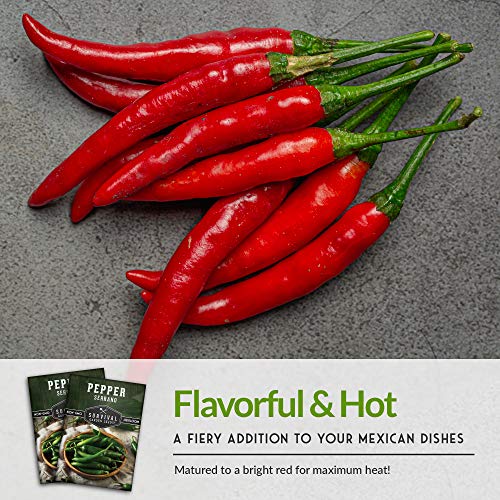 Survival Garden Seeds - Serrano Pepper Seed for Planting - Packet with Instructions to Plant and Grow Spicy Mexican Peppers in Your Home Vegetable Garden - Non-GMO Heirloom Variety