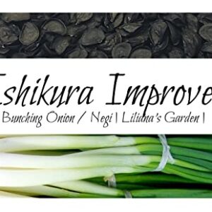 Fast-Growing Bunching Onion Seeds -"Ishikura Improved" - Liliana's Garden - USA Grown Heirloom Seeds