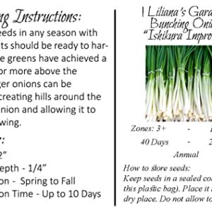 Fast-Growing Bunching Onion Seeds -"Ishikura Improved" - Liliana's Garden - USA Grown Heirloom Seeds