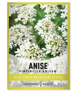 anise seeds for planting is a heirloom, non-gmo herb variety- pimpinella anisum herb seeds great for indoor and outdoor gardening by gardeners basics