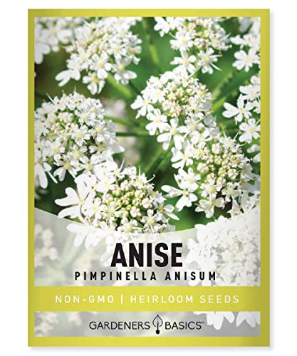 Anise Seeds for Planting is A Heirloom, Non-GMO Herb Variety- Pimpinella Anisum Herb Seeds Great for Indoor and Outdoor Gardening by Gardeners Basics