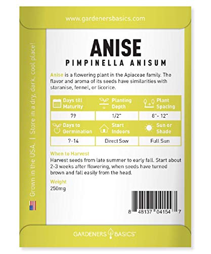 Anise Seeds for Planting is A Heirloom, Non-GMO Herb Variety- Pimpinella Anisum Herb Seeds Great for Indoor and Outdoor Gardening by Gardeners Basics