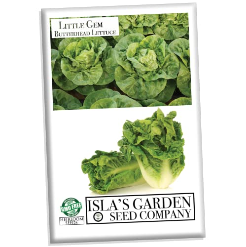 "Little Gem" Butterhead Lettuce Seeds for Planting, 1000+ Heirloom Seeds Per Packet, (Isla's Garden Seeds), Non GMO Seeds, Scientific Name: Lactuca Sativa, Great Home Garden Gift