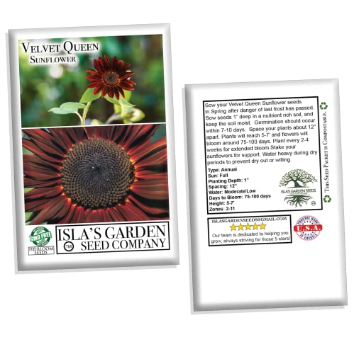 Velvet Queen Mix Sunflower Seeds for Planting, 50+ Seeds Per Packet, (Isla's Garden Seeds), Non GMO & Heirloom Seeds, Scientific Name: Helianthus annuus, Great Home Garden Gift