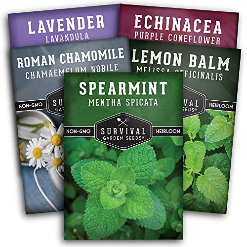 Survival Garden Seeds Herbal Collection Seed Vault - 5 Herbs to Grow & Plant in The Vegetable Garden - Lavender, Mint, Echinacea, Lemon Balm, Roman Chamomile - Non-GMO Heirloom Varieties