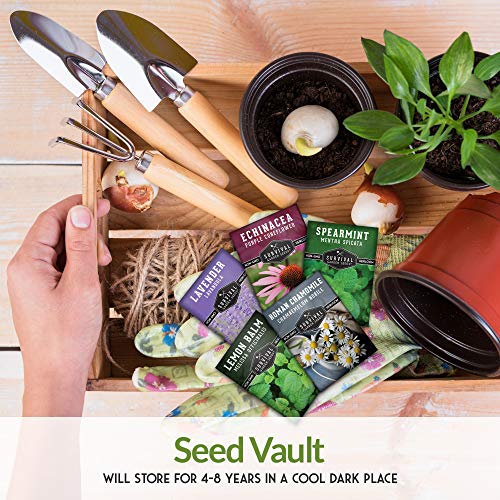 Survival Garden Seeds Herbal Collection Seed Vault - 5 Herbs to Grow & Plant in The Vegetable Garden - Lavender, Mint, Echinacea, Lemon Balm, Roman Chamomile - Non-GMO Heirloom Varieties