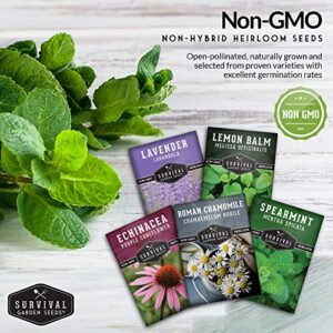 Survival Garden Seeds Herbal Collection Seed Vault - 5 Herbs to Grow & Plant in The Vegetable Garden - Lavender, Mint, Echinacea, Lemon Balm, Roman Chamomile - Non-GMO Heirloom Varieties