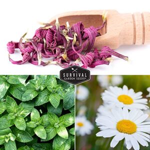 Survival Garden Seeds Herbal Collection Seed Vault - 5 Herbs to Grow & Plant in The Vegetable Garden - Lavender, Mint, Echinacea, Lemon Balm, Roman Chamomile - Non-GMO Heirloom Varieties