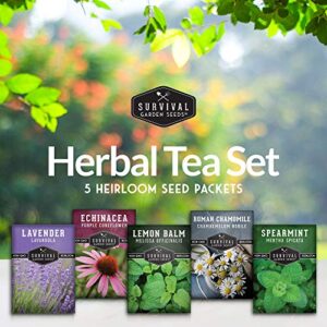 Survival Garden Seeds Herbal Collection Seed Vault - 5 Herbs to Grow & Plant in The Vegetable Garden - Lavender, Mint, Echinacea, Lemon Balm, Roman Chamomile - Non-GMO Heirloom Varieties