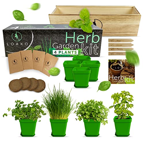 Indoor Herb Garden Starter Kit - DIY Kits for Adults - 4 Herb Seeds Growing Kit - Crafts for Adults - Home Seed Starter Grow Plant Kit - Craft Kits for Adults - Basil, Parsley, Cilantro, Chives