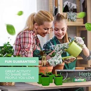 Indoor Herb Garden Starter Kit - DIY Kits for Adults - 4 Herb Seeds Growing Kit - Crafts for Adults - Home Seed Starter Grow Plant Kit - Craft Kits for Adults - Basil, Parsley, Cilantro, Chives