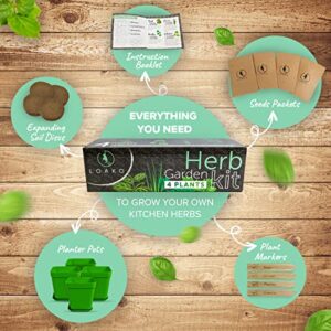 Indoor Herb Garden Starter Kit - DIY Kits for Adults - 4 Herb Seeds Growing Kit - Crafts for Adults - Home Seed Starter Grow Plant Kit - Craft Kits for Adults - Basil, Parsley, Cilantro, Chives