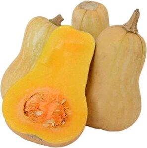 david’s garden seeds squash winter butternut waltham fba-00016 (tan) 50 non-gmo, heirloom seeds