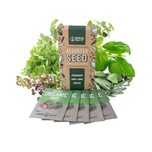 organic italian herb garden seed collection – 5 non-gmo, organic seed packets – oregano, thyme, basil, sage, cilantro – kitchen culinary herb gardening seeds