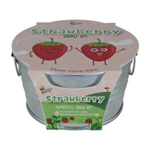 BUZZY Kids Mini Basin Seed Grow Kit | Strawberry | Kids Collection | Best Gardening Gifts, Favors, Weddings, Parties, Events, Modern, Trendy, Unique, and Fun | Growth Guaranteed