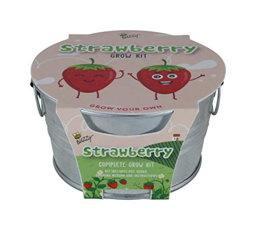 BUZZY Kids Mini Basin Seed Grow Kit | Strawberry | Kids Collection | Best Gardening Gifts, Favors, Weddings, Parties, Events, Modern, Trendy, Unique, and Fun | Growth Guaranteed