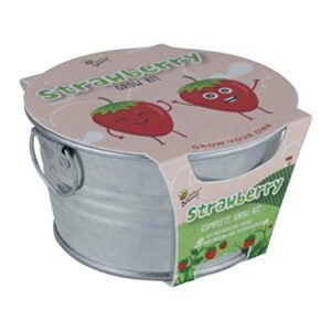 BUZZY Kids Mini Basin Seed Grow Kit | Strawberry | Kids Collection | Best Gardening Gifts, Favors, Weddings, Parties, Events, Modern, Trendy, Unique, and Fun | Growth Guaranteed