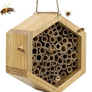 KIBAGA Mason Bee House - Handmade Natural Bamboo Bee Hive Attracts Peaceful Bee Pollinators to Enhance Your Garden's Productivity - The for Garden Lovers