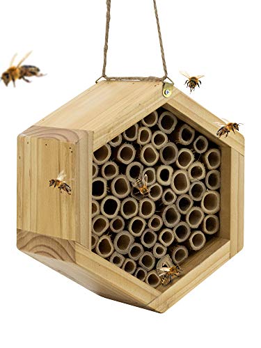 KIBAGA Mason Bee House - Handmade Natural Bamboo Bee Hive Attracts Peaceful Bee Pollinators to Enhance Your Garden's Productivity - The for Garden Lovers