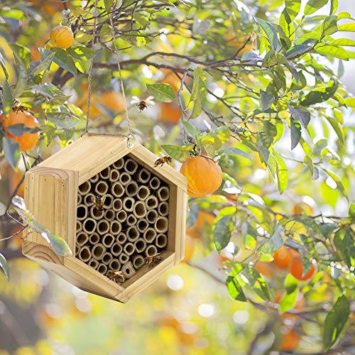 KIBAGA Mason Bee House - Handmade Natural Bamboo Bee Hive Attracts Peaceful Bee Pollinators to Enhance Your Garden's Productivity - The for Garden Lovers