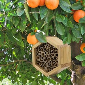 KIBAGA Mason Bee House - Handmade Natural Bamboo Bee Hive Attracts Peaceful Bee Pollinators to Enhance Your Garden's Productivity - The for Garden Lovers