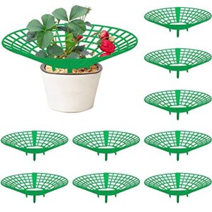 codree 10 pack strawberry plant supports, strawberry plant stand with 3 sturdy legs, strawberry growing racks, strawberry growing frame, protecting strawberry plants from mold, rot and dirt, green