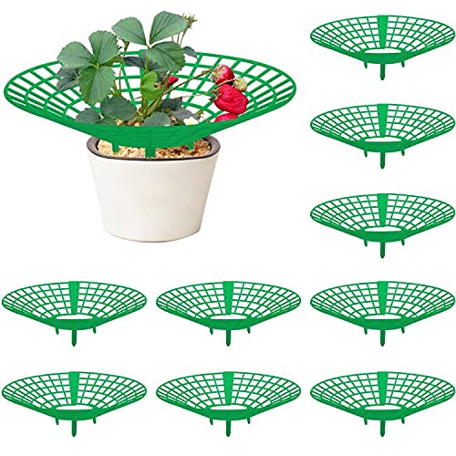 codree 10 Pack Strawberry Plant Supports, Strawberry Plant Stand with 3 Sturdy Legs, Strawberry Growing Racks, Strawberry Growing Frame, Protecting Strawberry Plants from Mold, Rot and Dirt, Green