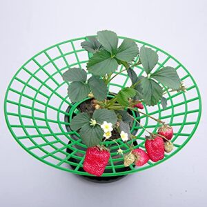 codree 10 Pack Strawberry Plant Supports, Strawberry Plant Stand with 3 Sturdy Legs, Strawberry Growing Racks, Strawberry Growing Frame, Protecting Strawberry Plants from Mold, Rot and Dirt, Green