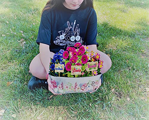 Kids Paint & Planting Flower Growing Kit, 27Pcs Childrens Gardening Plant Kits Arts & Crafts Garden Toy Set Birthday for Girls & Boys Age 4, 5, 6, 7, 8-12 Years Old