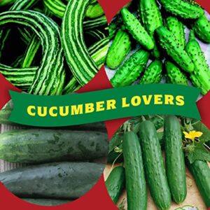 Seeds N Such 215 Hand Selected Cucumber Garden Seeds | Includes 5 Individually Packaged Seeds - Beit Alpha, Marketmore 76, Armenian, Saladmore Bush & Parisian Hybrid | Untreated & Non-GMO