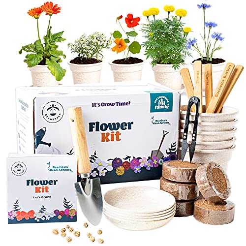 Flower Growing Kit by Beanstalk - 5 Types of Non-GMO Flower Seeds, Bachelor Button, Zinnia, Marigold, Virginia Stock, Baby's Breath - Best Birthday Garden Plant Gifts for Girls, Kids Age 5 6 7 8 9 10