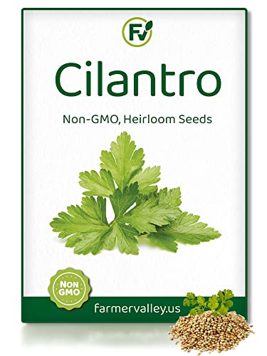 Cilantro Seeds for Planting Home Garden Herbs - Individual Pack of 300+ Heirloom Seeds, Suitable for Outdoors, Indoors, and Hydroponics - Non-GMO, Non-Hybrid, Untreated, and USA Grown Variety