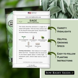 Sow Right Seeds - Sage Seeds for Planting - Non-GMO Heirloom Sage Seeds with Instructions to Plant and Grow Kitchen Herb Garden, Indoor or Outdoor; Great Garden Gift (1)