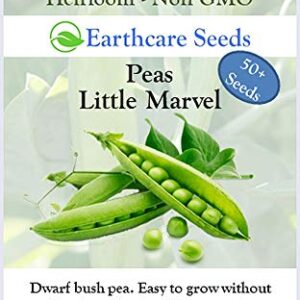 Earthcare Seeds Peas Little Marvel Sweet Dwarf Bush Pea 50 Seeds (Pisum sativum) No GMO – Open Pollinated - Heirloom