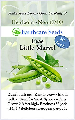 Earthcare Seeds Peas Little Marvel Sweet Dwarf Bush Pea 50 Seeds (Pisum sativum) No GMO – Open Pollinated - Heirloom