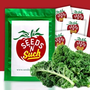 seeds n such 2380 hand selected garden salad mix seeds | includes 5 individually packaged seed packs – cherry tomato, kale, black seeded simpson, red salad bowl & spinach | untreated & non-gmo