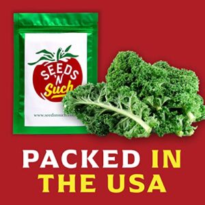 Seeds N Such 2380 Hand Selected Garden Salad Mix Seeds | Includes 5 Individually Packaged Seed Packs - Cherry Tomato, Kale, Black Seeded Simpson, Red Salad Bowl & Spinach | Untreated & Non-GMO