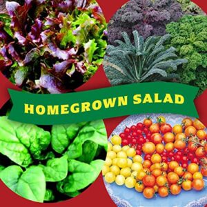 Seeds N Such 2380 Hand Selected Garden Salad Mix Seeds | Includes 5 Individually Packaged Seed Packs - Cherry Tomato, Kale, Black Seeded Simpson, Red Salad Bowl & Spinach | Untreated & Non-GMO