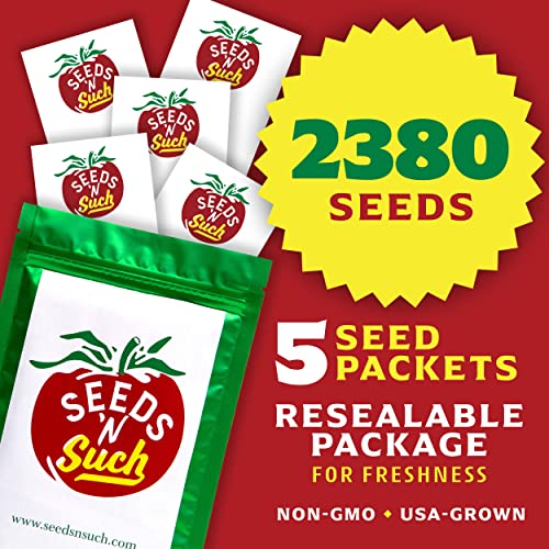 Seeds N Such 2380 Hand Selected Garden Salad Mix Seeds | Includes 5 Individually Packaged Seed Packs - Cherry Tomato, Kale, Black Seeded Simpson, Red Salad Bowl & Spinach | Untreated & Non-GMO