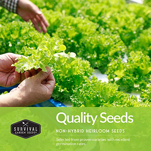 Survival Garden Seeds Cool Weather Collection Seed Vault - Spinach, Kale, Cilantro, Broccoli, and Leaf Lettuce - Non-GMO Heirloom Varieties for Indoor & Outdoor Planting - Homestead Necessities