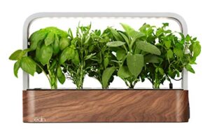 edn smallgarden with basil seedpods, indoor grow smart garden starter kit for fresh home grown herbs, plants and flowers