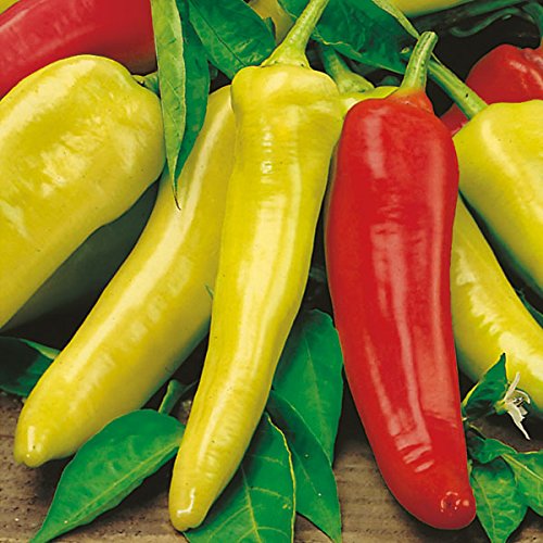 Hungarian Sweet Wax Pepper Seeds, 100+ Heirloom Seeds Per Packet, (Isla's Garden Seeds), Non GMO Seeds, Botanical Name: Capsicum annuum