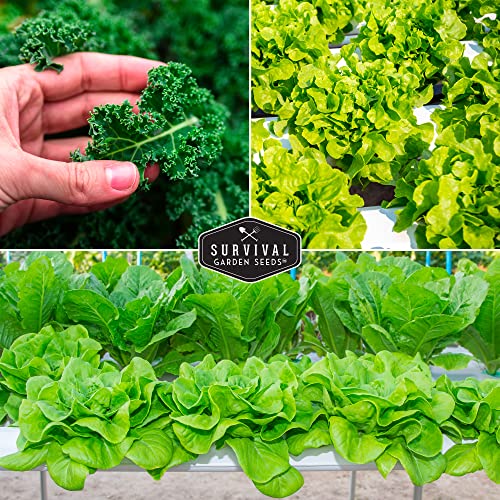 Hydroponics Vegetable Seed Collection for Planting - Watercress, Spinach, Siberian Kale, Swiss Chard, Buttercrunch, Oakleaf Lettuce Varieties to Grow Indoors Non-GMO Heirloom Survival Garden Seeds