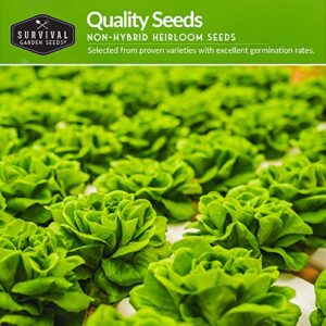 Hydroponics Vegetable Seed Collection for Planting - Watercress, Spinach, Siberian Kale, Swiss Chard, Buttercrunch, Oakleaf Lettuce Varieties to Grow Indoors Non-GMO Heirloom Survival Garden Seeds