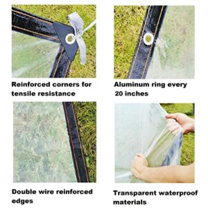 Abrotain Plastic Sheeting Drop Cloths Clear Tarp 6 mil Thick 6'6"x10' Waterproof Greenhouse Plastic Sheeting Polyethylene Film Covering Plastic Cover for Garden Plants Prevent Wind Rain and Snow