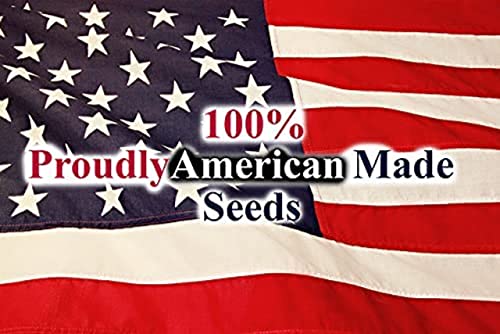 Set of 20 of Our Favorite Premium Variety Current Year Vegetable Seeds - Great for Gardening