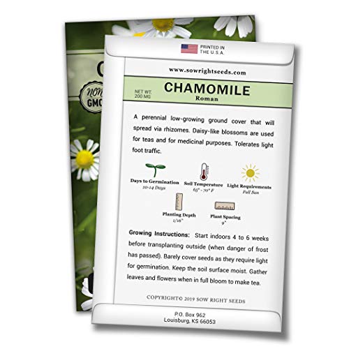 Sow Right Seeds - Roman Chamomile Seeds for Planting - Non-GMO Heirloom Seeds; Instructions to Plant and Grow an Herbal Tea Garden, Indoors or Outdoor; Great Gardening Gift. (4)